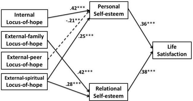 Hope and satisfaction with life: testing the mediating roles of self ...