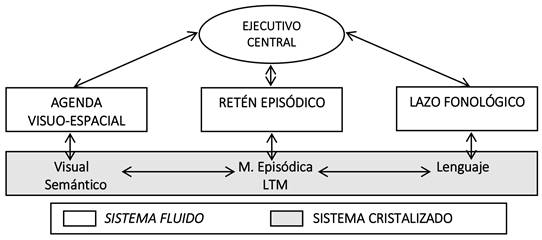 Memoria - Mind Map