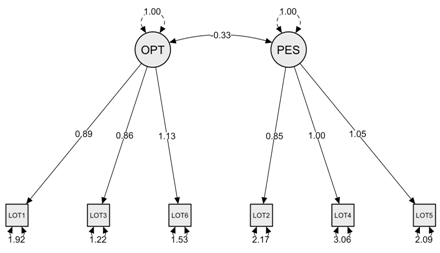Propiedades Psicométricas del Life Orientation Test (LOT-R) para el Deporte