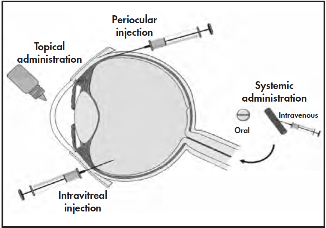 Ophthalmic Route