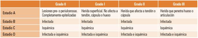 Uso de terapia de presión negativa en herida compleja de pie diabético ...