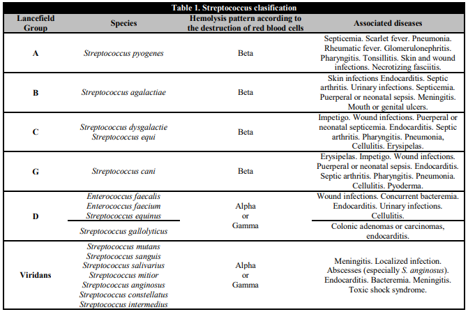 Streptococcus agalactiae and genital ulcers in a heterosexual male