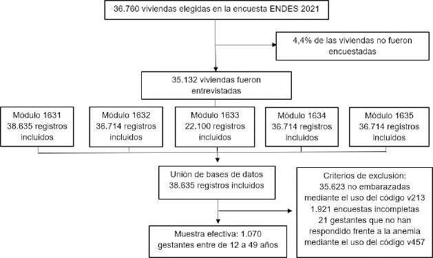 Prevalencia de anemia ferropénica y factores asociados en embarazadas ...