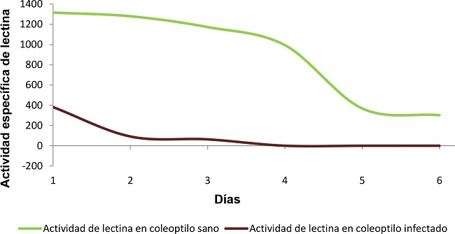 Cuantificación de la actividad específica de lectina en teosinte Zea ...