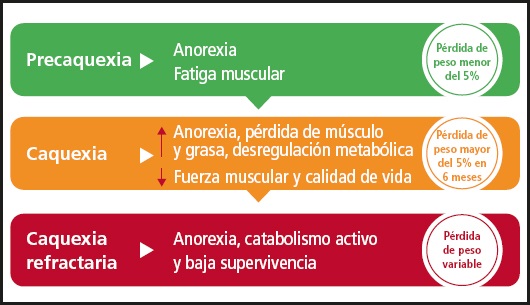 Abordaje de la desnutrición en pacientes hospitalizados con diabetes ...
