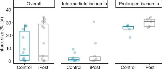 Ischemic postconditioning fails to reduce infarct size in pig models of ...