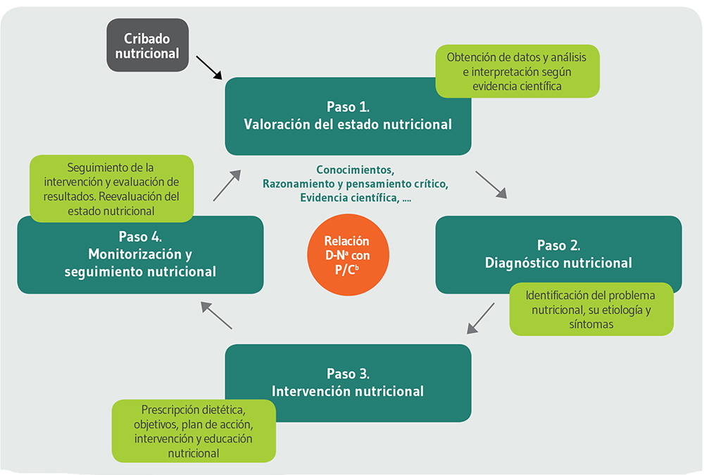 Proceso De Cuidado Nutricio - enfoya